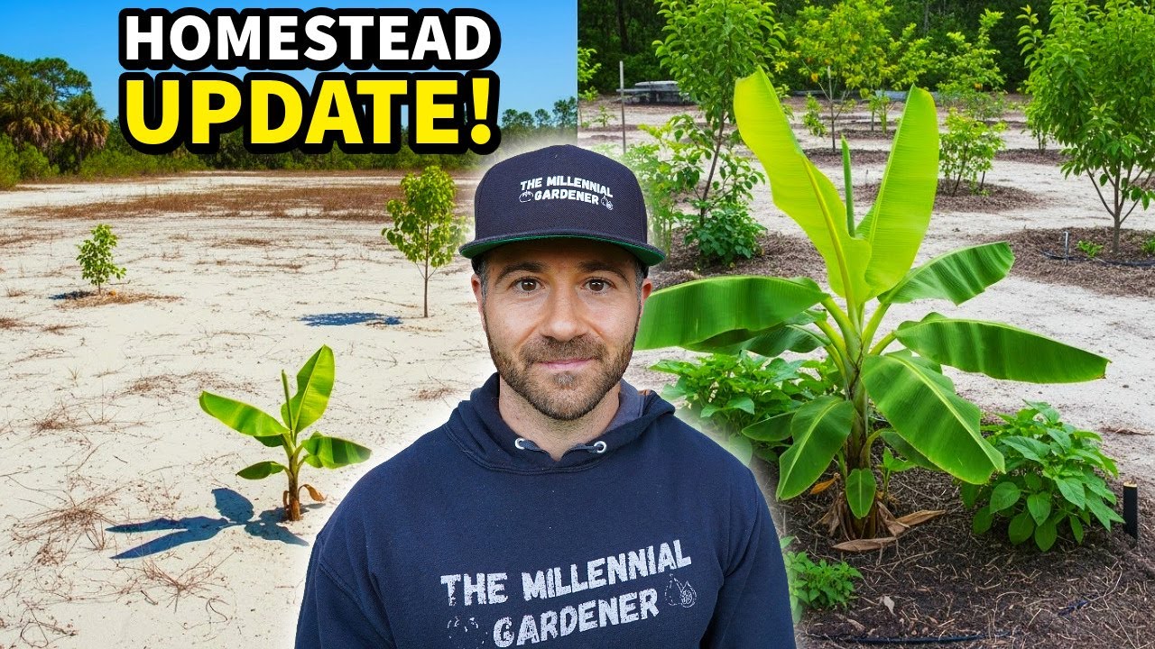 Major Homestead Update: An Exciting New Chapter Begins! - Tips to Gardening