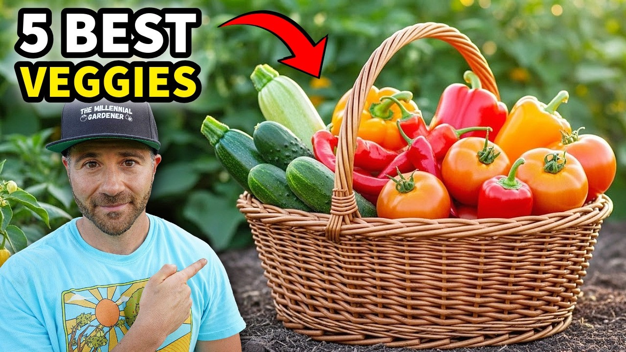 I Tested 100's Of Varieties: Here Are My 5 BEST Veggies Ever Grown ...